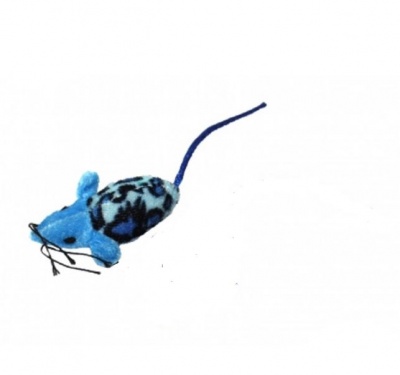 Cat Clearance Approved Food & Drink and more